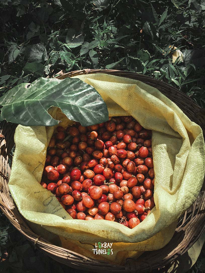 Traditional Way of Making Batangas Coffee - Lakbay Tsinelas